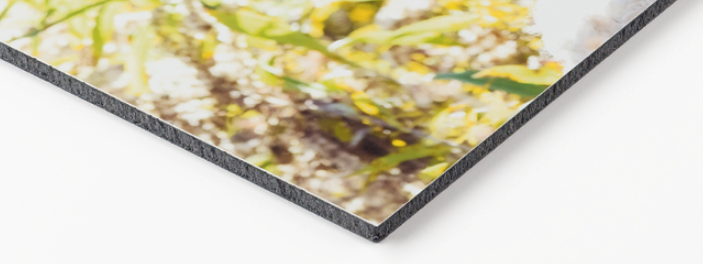 FAQ - Mounted Prints – Nations Photo Lab